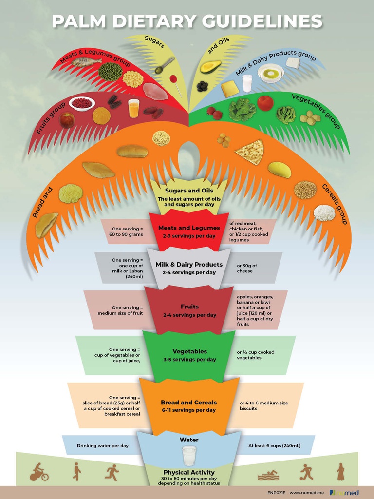 Palm Dietary Guidelines Poster | NUMED